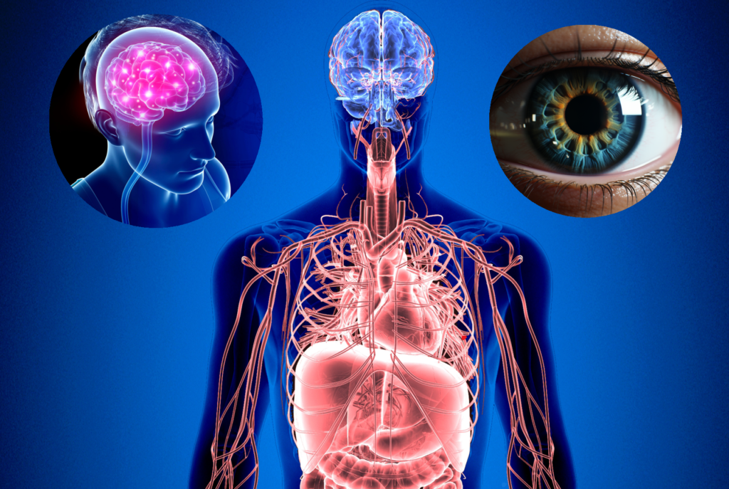 Imagerie neurologique et ophtalmologique • CIL